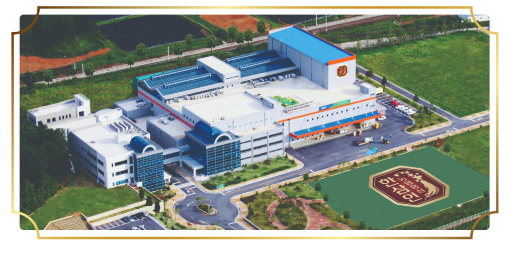 Nonghyup Red Ginseng Hansamin